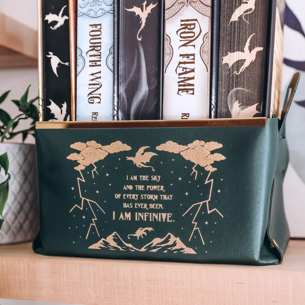 Fourth Wing Inspired Storage Bin